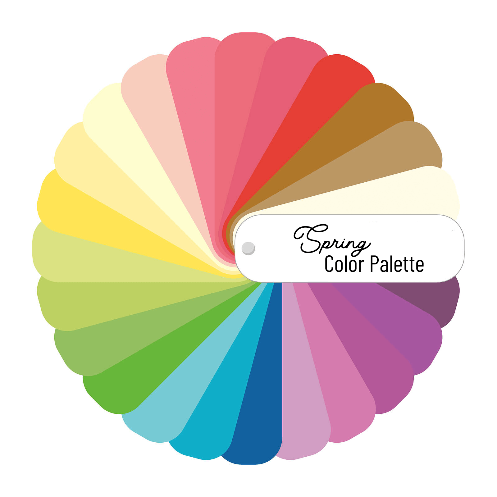Spring Skin Tone Color Palette - Colorfully Confident